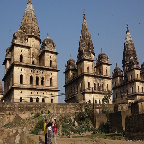 Passion !ndia Tours & Travels